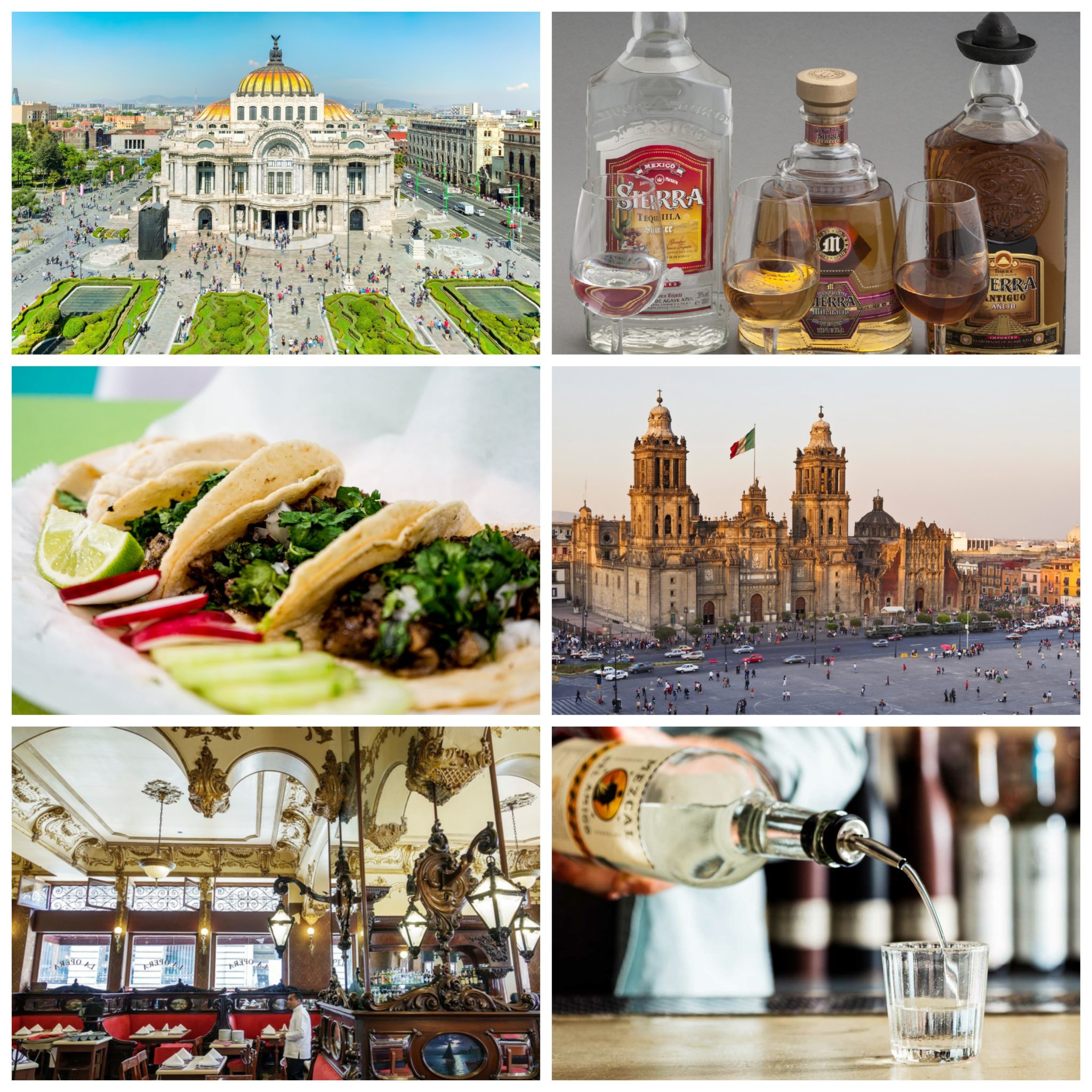 Mexico City live guided tour, through the eyes of a local expert ...